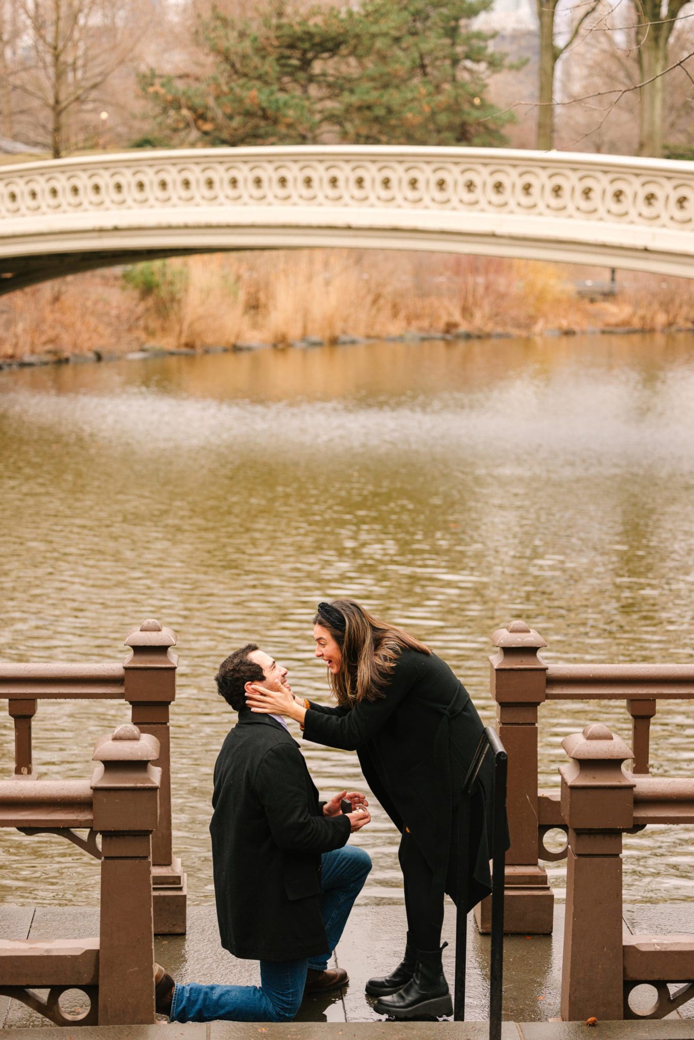 Cenral Park Proposal | Brindamour Studios | Brooklyn Wedding ...